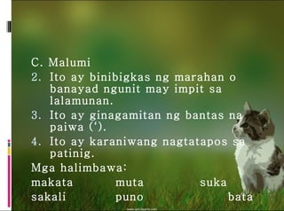 Proyekto sa Instrukura ng Wikang Filipino | PPT