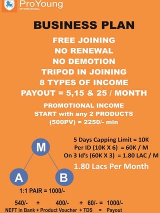 Proyoung Business Plan | PDF