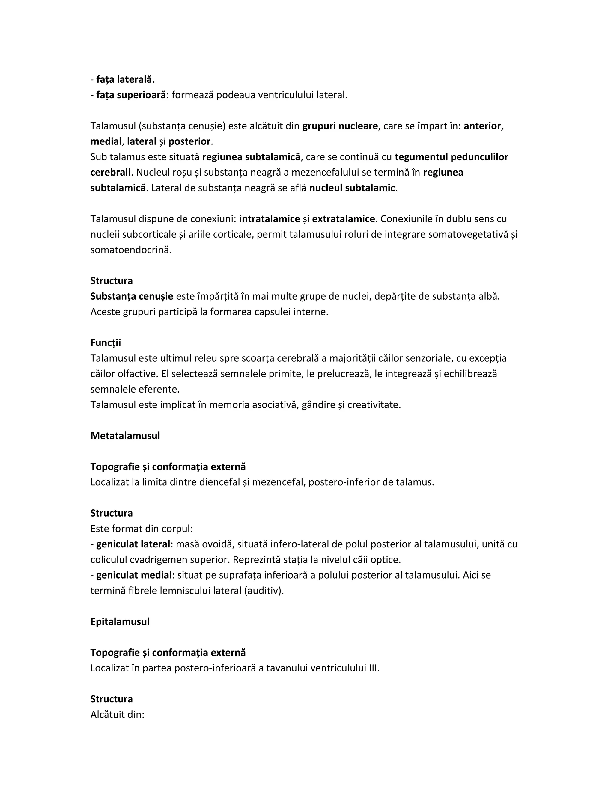 Anatomie: structurile creierului | RTF