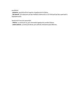 Anatomie: structurile creierului | RTF