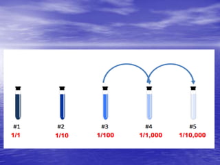 Prozone phenomenon | PPTX