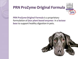 Pro zyme power point | PPTX