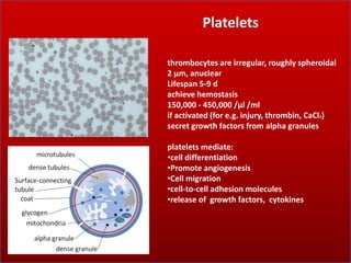 Platelet-Rich-Plasma | PDF
