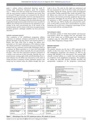 Prp and hamstring injury | PDF