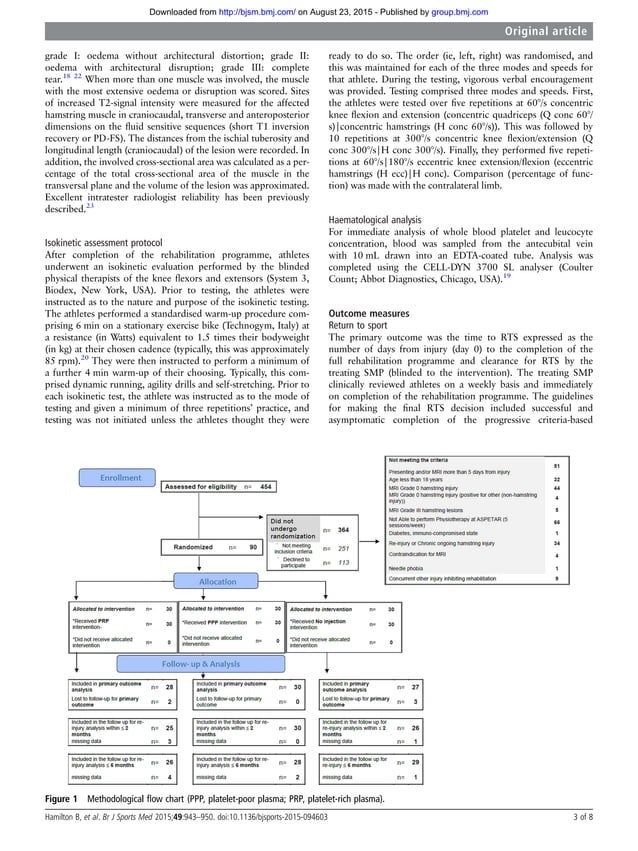 Prp and hamstring injury | PDF