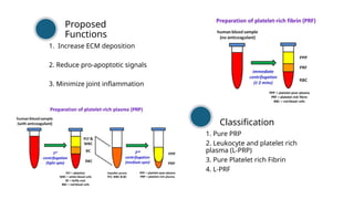 PRP & Bioinert materials in orthopaedics .pptx | Blood Disorders ...