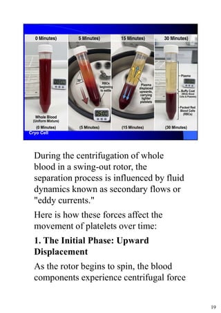 PRP DECODED GENERAL effective process.pdf