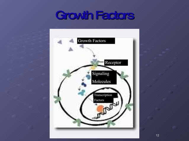 Prp Matrix Grafts | PPT