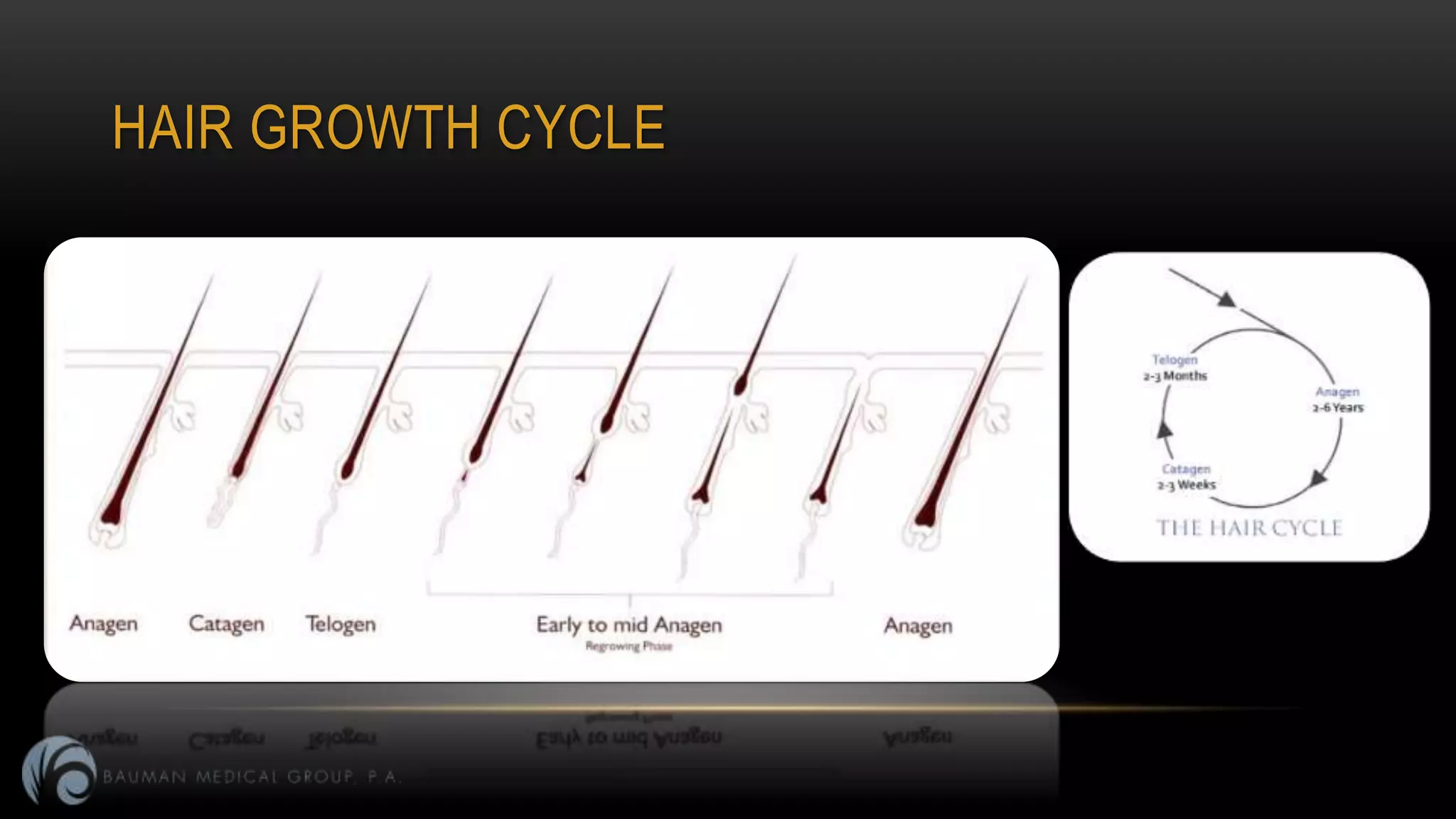 PRP Platelet Rich Plasma for Hair Regrowth by Dr. Alan Bauman | PPTX