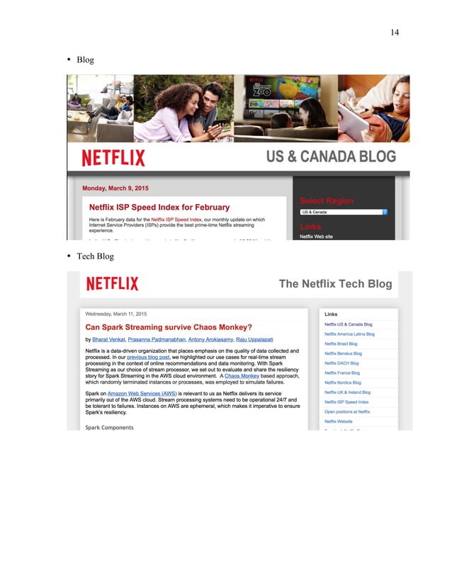 Public Relations Proposal for Netflix | PDF