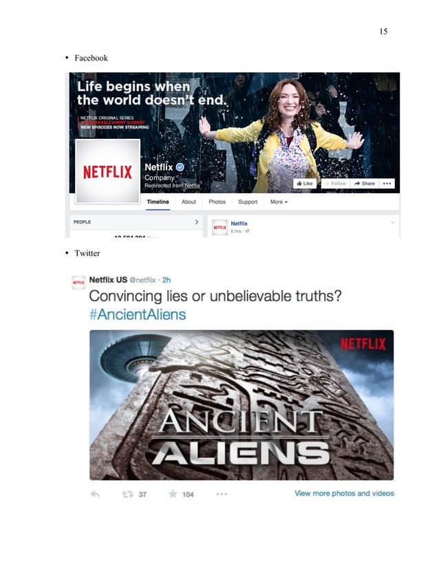 Public Relations Proposal for Netflix | PDF