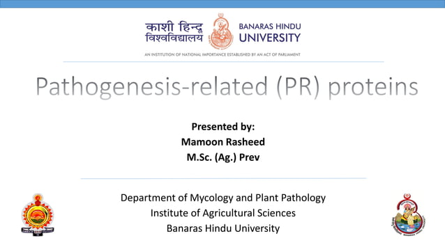 PR Pathogenesis related proteins | PDF | Gardening | Home & Garden
