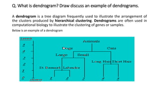 Islamic University Pattern Recognition & Neural Network 2019 | PPTX