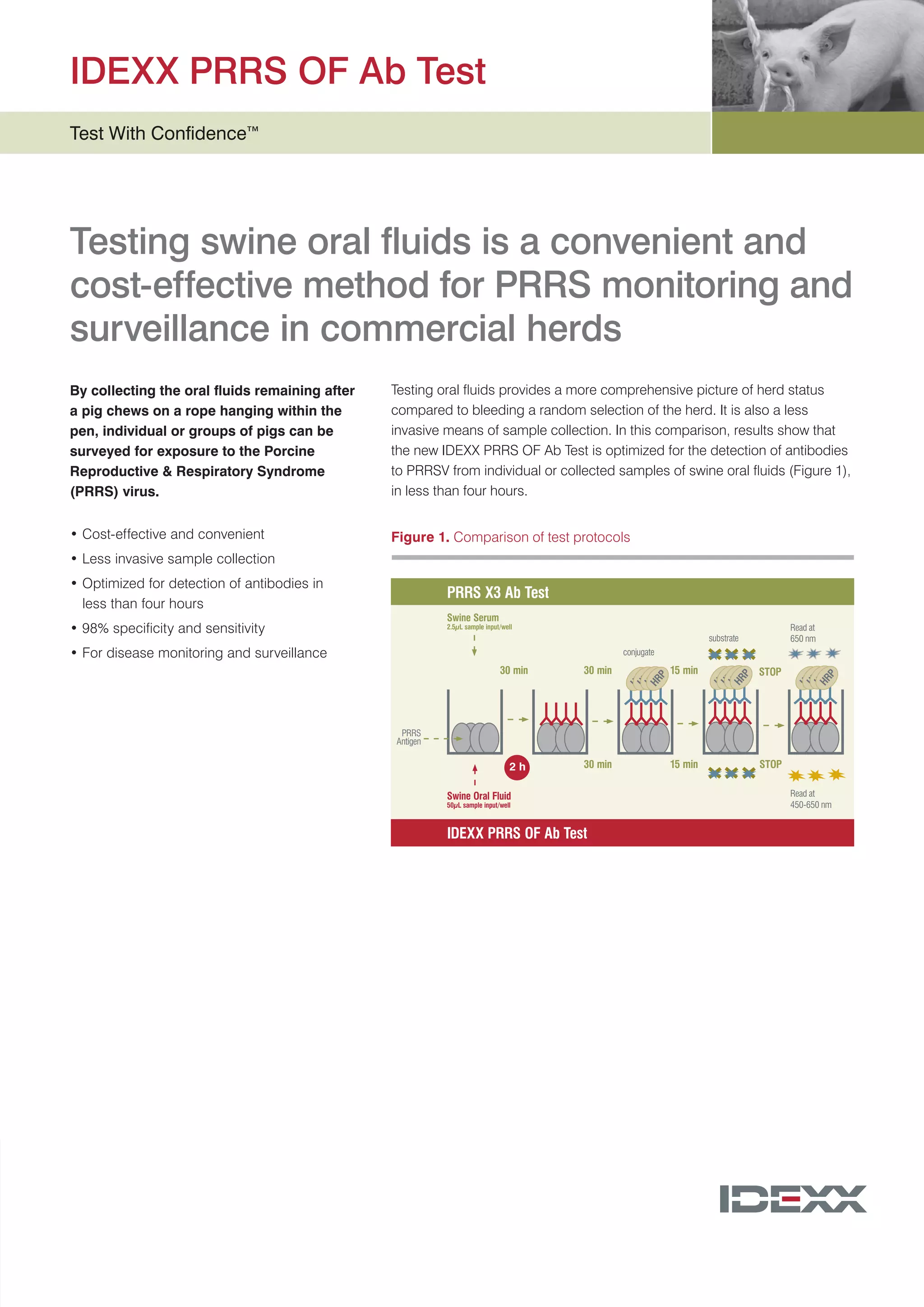 Prrs of-ab-test-info-brochure | PDF