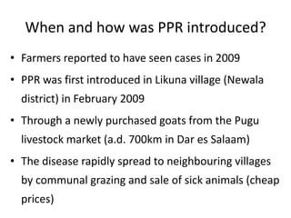 Peste des Petits Ruminants (PPR) outbreak in southern, Tanzania | PPTX