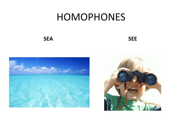 homophones | PPTX