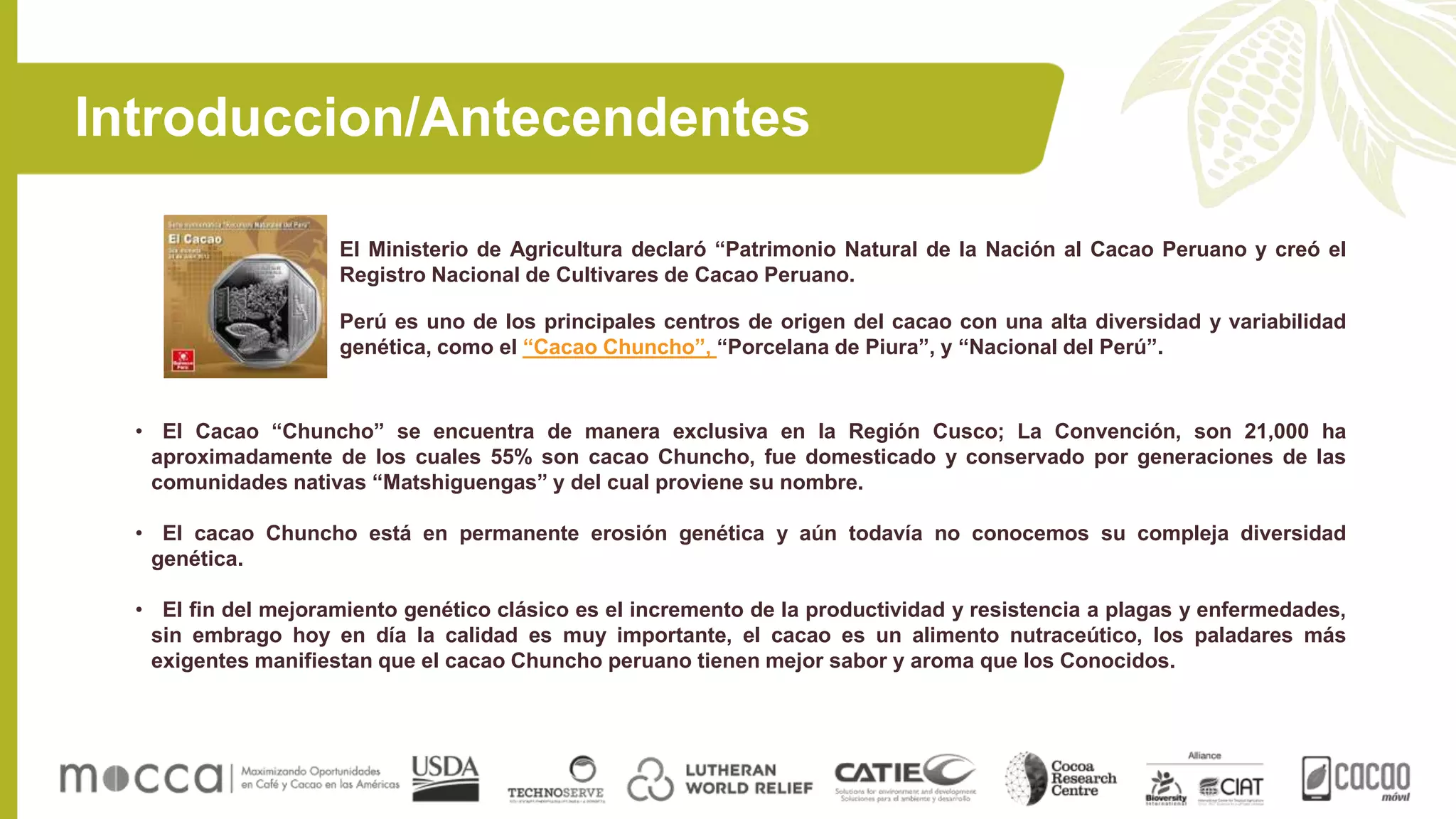 Su Majestad el Cacao Nativo Chuncho del Perúpptx | PPTX | Agriculture ...