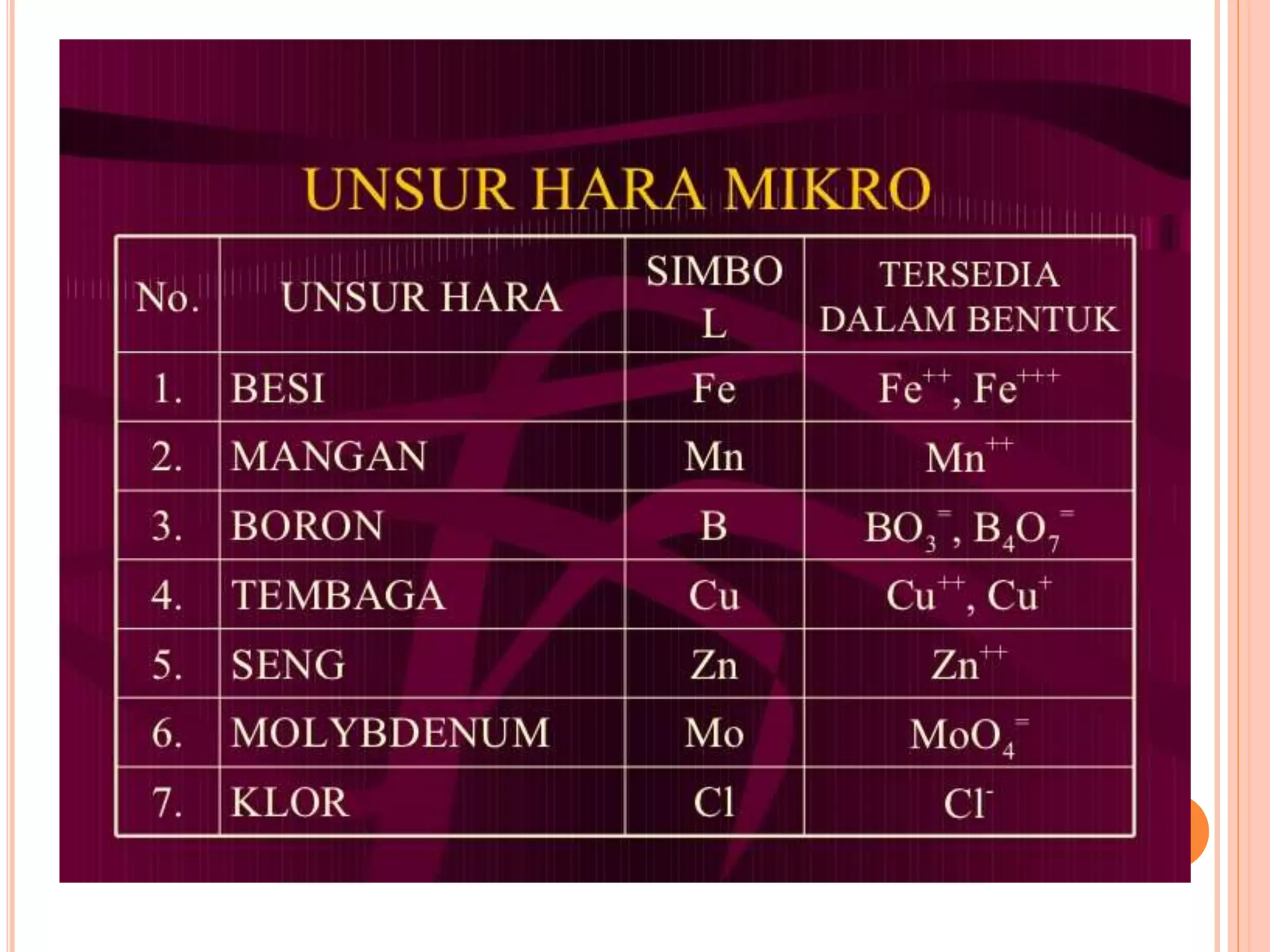 PENGARUH UNSUR FE (BESI) TERHADAP PERTUMBUHAN DAN PRODUKSI TANAMAN | PPTX