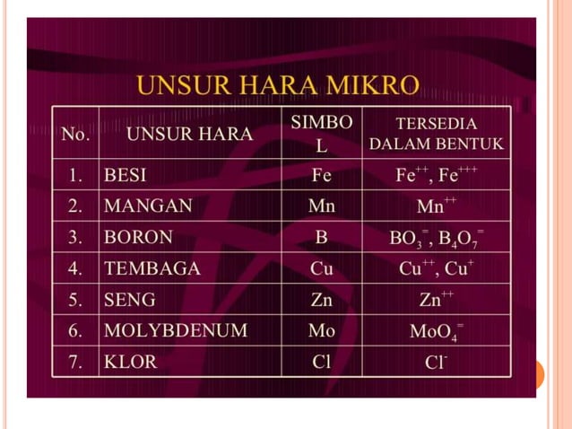PENGARUH UNSUR FE (BESI) TERHADAP PERTUMBUHAN DAN PRODUKSI TANAMAN | PPTX