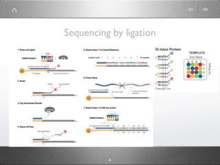 Next-Generation Sequencing and its Applications in RNA-Seq | KEY ...