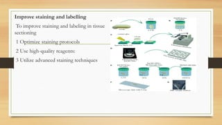 introduction to tissue sectioning in histopathology | PPTX