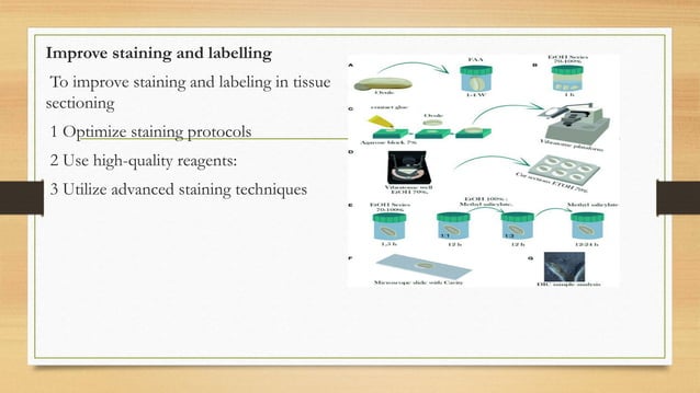 introduction to tissue sectioning in histopathology | PPTX