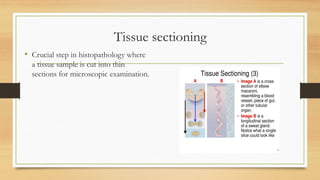 introduction to tissue sectioning in histopathology | PPTX