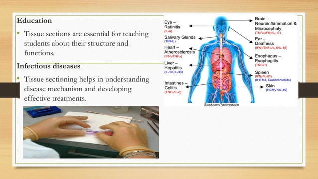 introduction to tissue sectioning in histopathology | PPTX