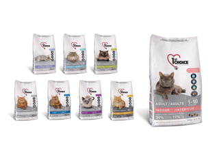 Terrain - presentation | KEY