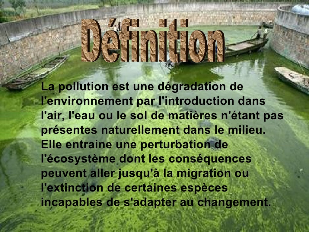 La pollution
