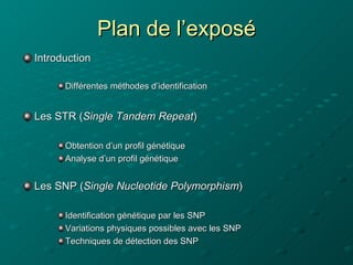 Présentation de stage | PPT