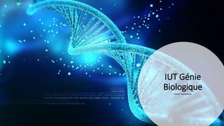 Présentation IUT Lyon1 | PPT