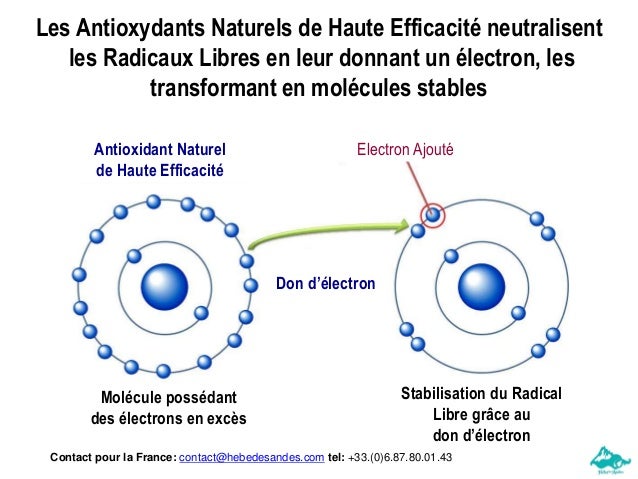 Le stress oxydatif: un assassin silencieux