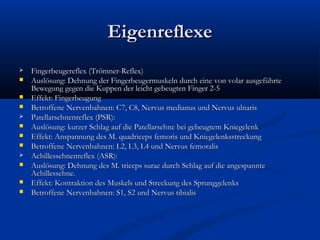 Präsentation neurologie 1 | PPT