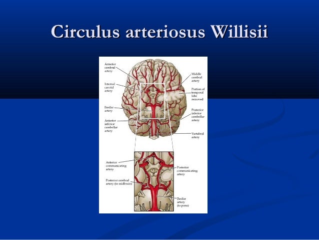 Präsentation neurologie 1
