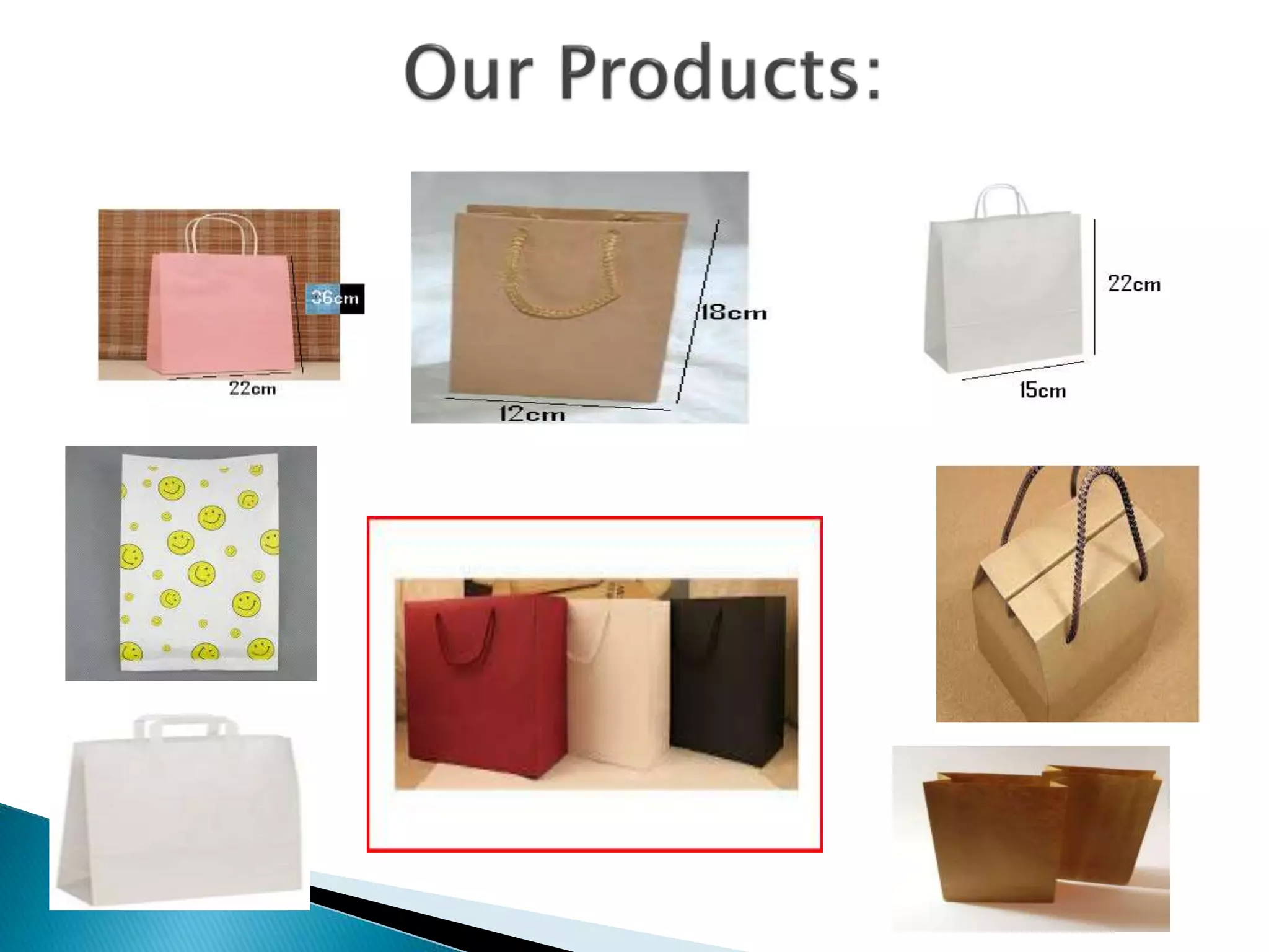 Prsentation on paper bag manufacturing (business plan) | PPTX