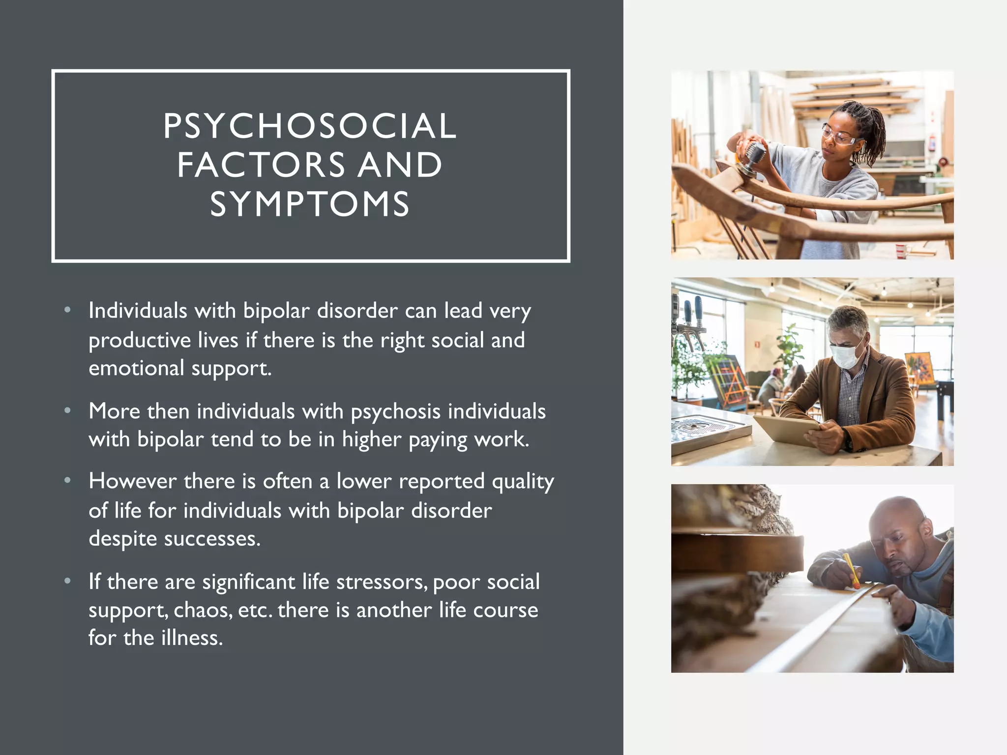 Understanding Bipolar Disorder: Biopsychosocial Approaches to Mind Body ...
