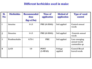 Use of Herbicides in Sequence for Control of Weeds in Maize | PPT