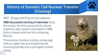 Stem cell research Project | PPTX