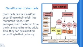 Stem cell research Project | PPTX