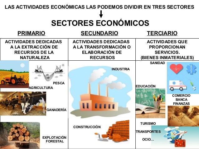 Sector primario, secundario y terciario: diferencias y ejemplos ...