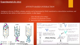 Protein protein interaction, functional proteomics | PPTX