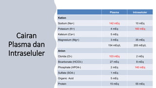 PR TERAPI CIARAN.pptx