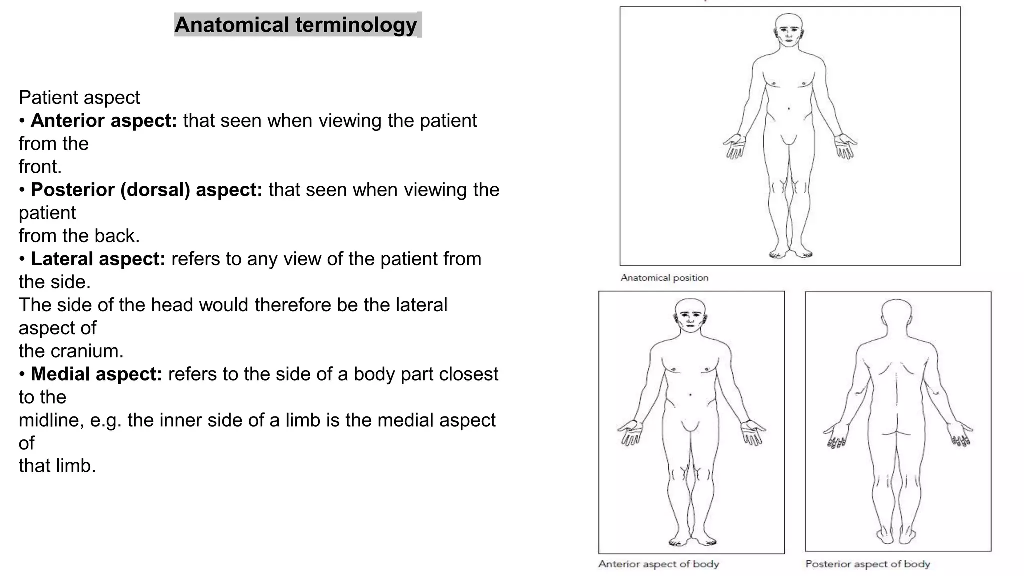 PRT position section 1(Dr.Aya Ali).pptx