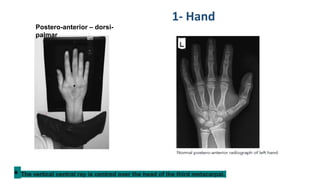 PRT position section 1(Dr.Aya Ali).pptx