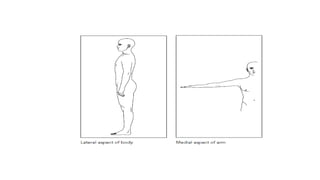 PRT position section 1(Dr.Aya Ali).pptx