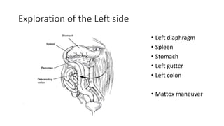 Trauma abdominal exploration.pptx | Death, Injury, or Military Conflict ...