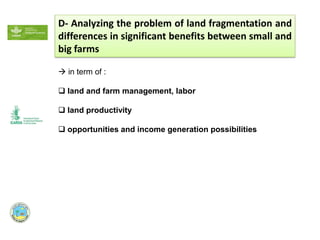 Policies: Land Consolidation and Fragmentation | PDF