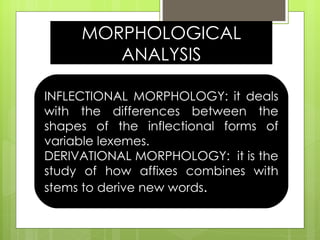 morphology | PPT
