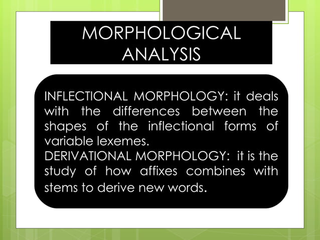 morphology | PPT